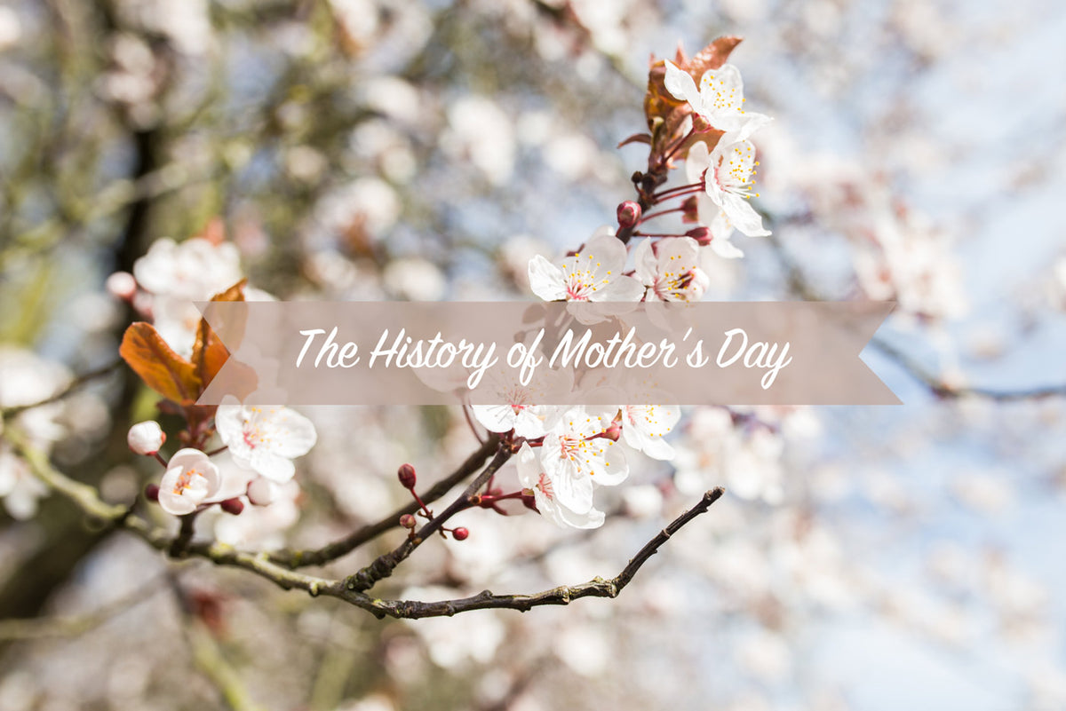 The History of Mother's Day – BeCozi